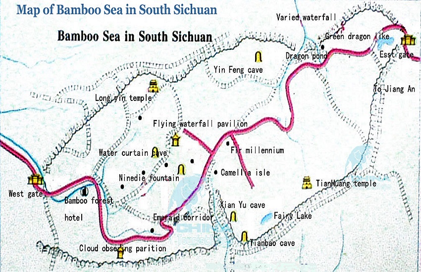 Bamboo Sea-Best china Tours service_chinatoursnet.com