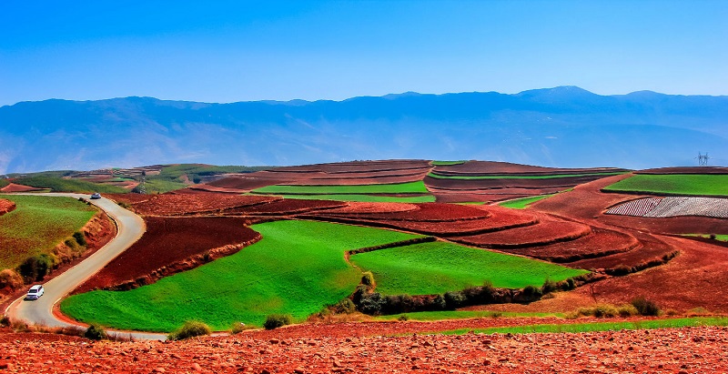 Dongchuan Red Land-Best china Tours service_chinatoursnet.com