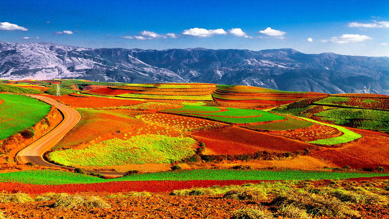 Dongchuan Red Land-Best china Tours service_chinatoursnet.com