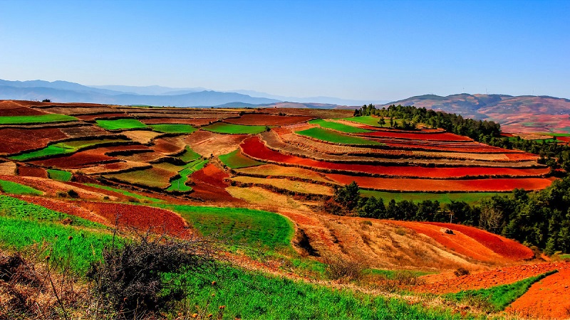 Dongchuan Red Land-Best china Tours service_chinatoursnet.com