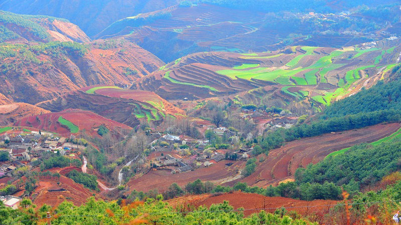 Dongchuan Red Land-Best china Tours service_chinatoursnet.com