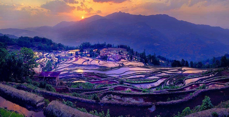 Yuanyang Rice Terraces-Best china Tours service_chinatoursnet.com